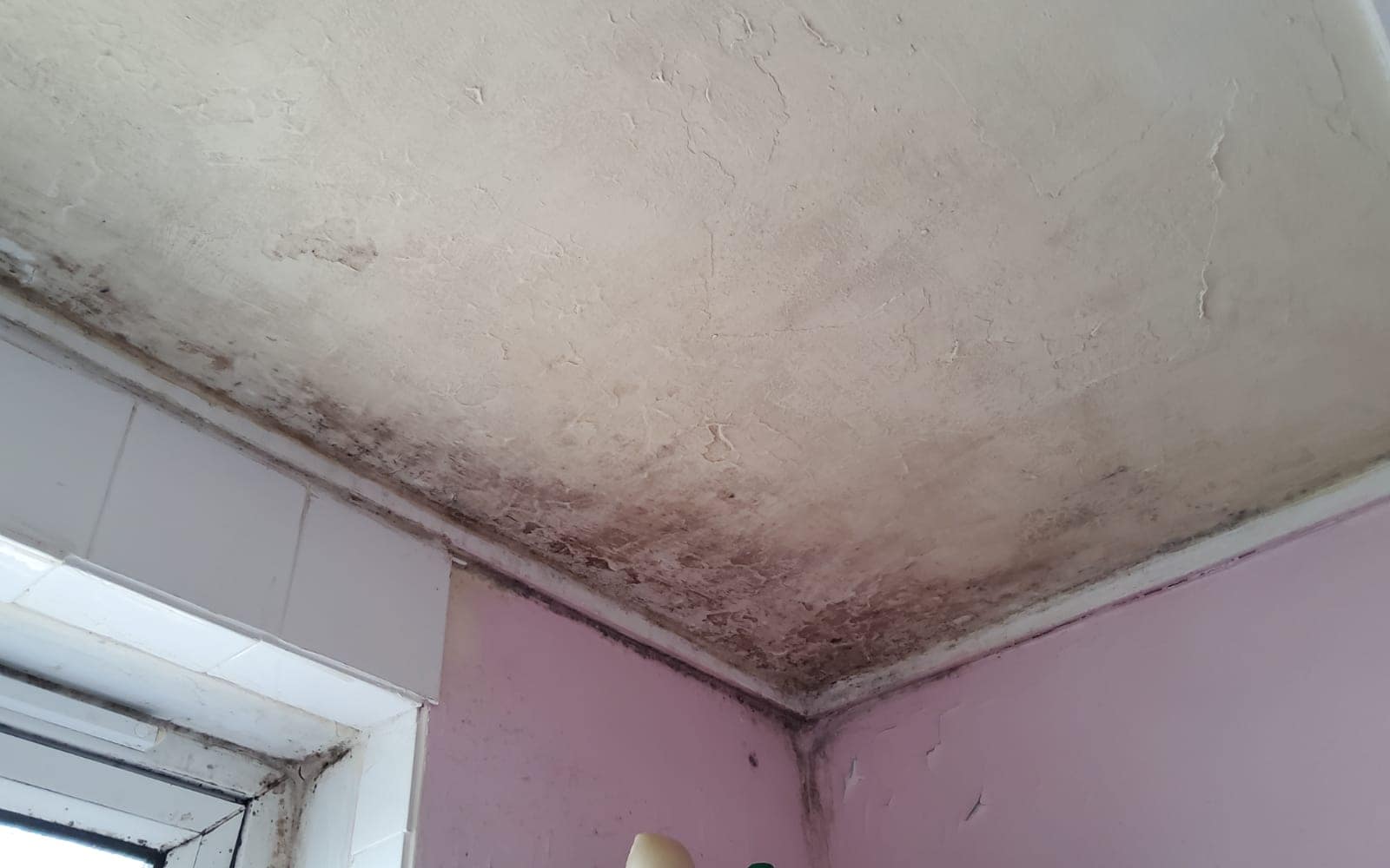 Mould in Lungs: Health Risks from Poor Housing Conditions